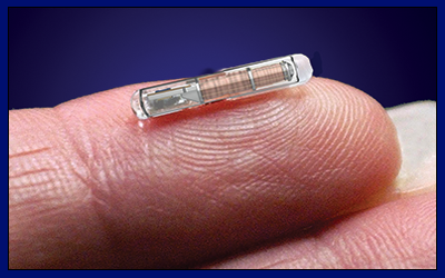 ASD Registry™ - American Service Dogs™ | ASD™ Microchip